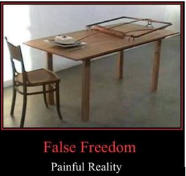 FALSE FREEDOM – (Part 2) | Roy's Covenant Corner