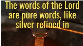 The Pure Purified Word | Roy's Covenant Corner
